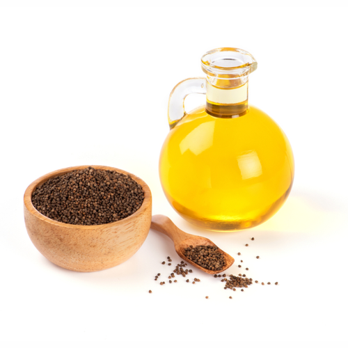 งาขี้ม้อน หรือ Perilla คืออะไร? – Timothy's Herbs Thailand